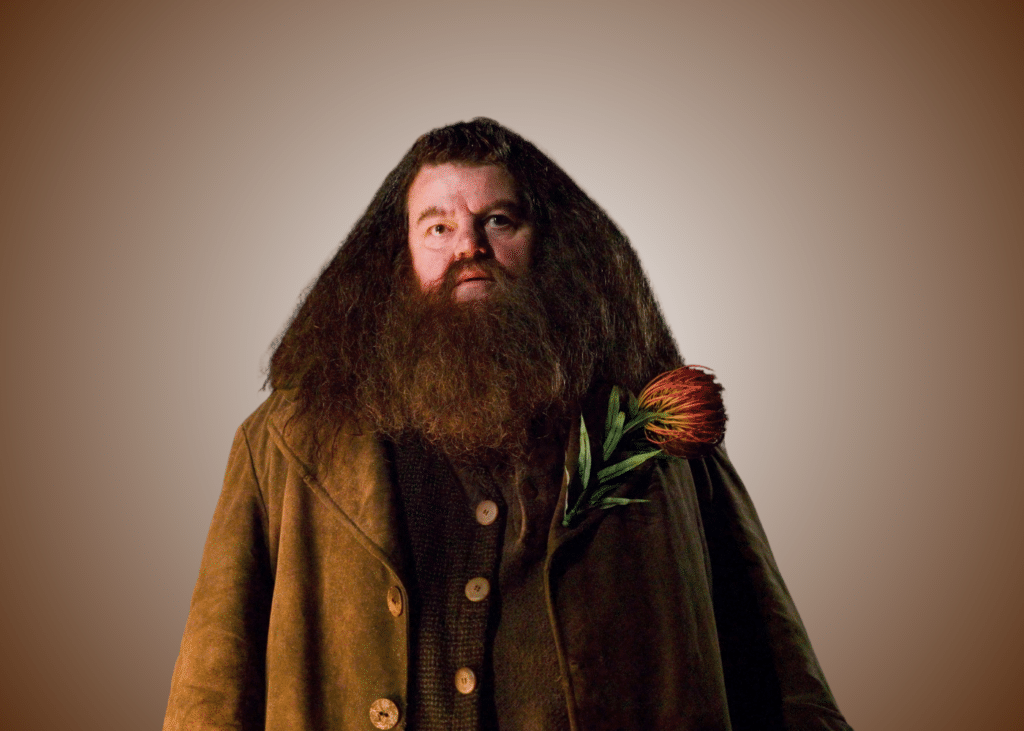 Rubeus Hagrid 'How To' DIY Costume Guide