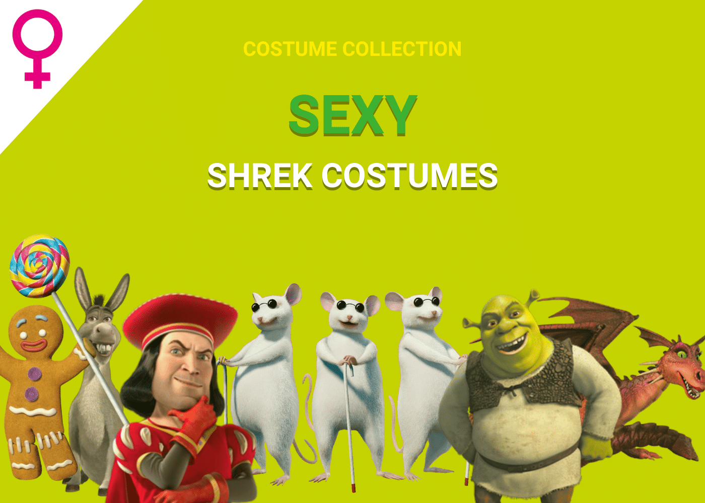 Shrek Costume Collection for Women